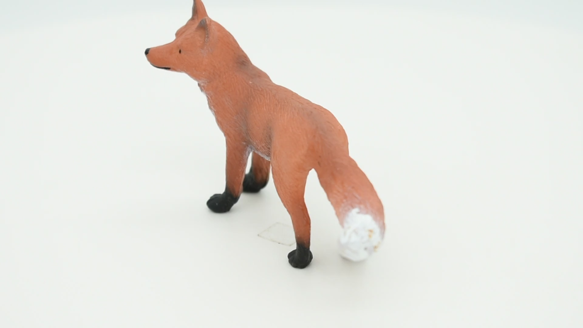 Red Fox Shoebox Diorama Shoebox Diorama School