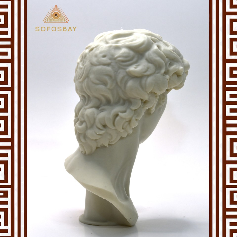 Head of David - Italian Renaissance Sculpture - David by Michelangelo ...