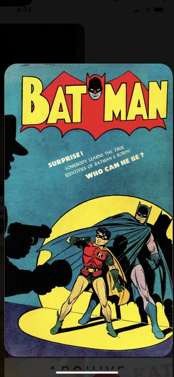 Batman And Robin Comic Art