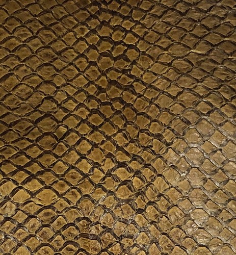 Pirarucu skin, Arapaima skin large wild (INVERTED SCALES) 12 colors | eBay