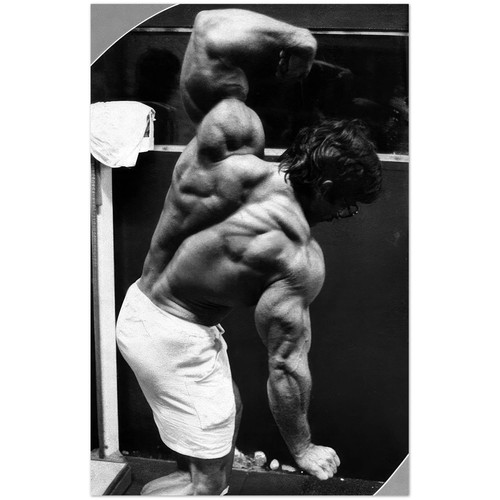 Arnold Schwarzenegger Bodybuilding Back Pose Vintage Gym Poster | eBay