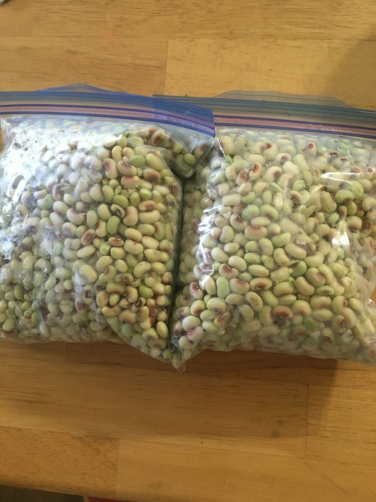 1000+ seed 1/2 lb Top Pick Pinkeye Purple Hull Peas Cow Pea Germ: 80% ...