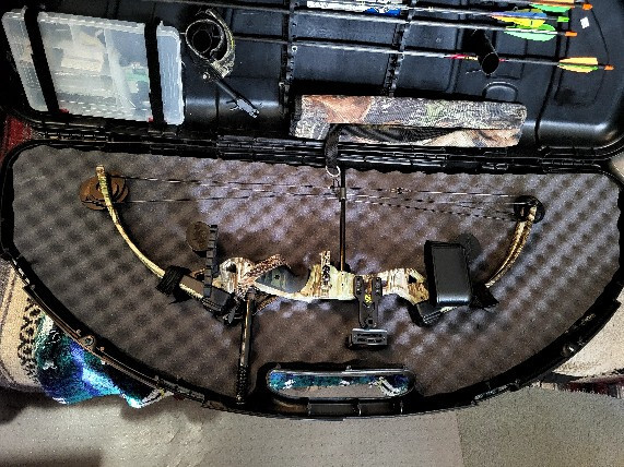 BuckMaster BTR Compound Bow | eBay