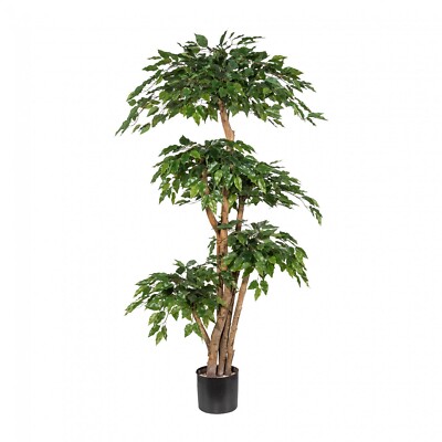 Ficus Benjamini Pianta Finta 170 CM Con Tronco Naturale | eBay