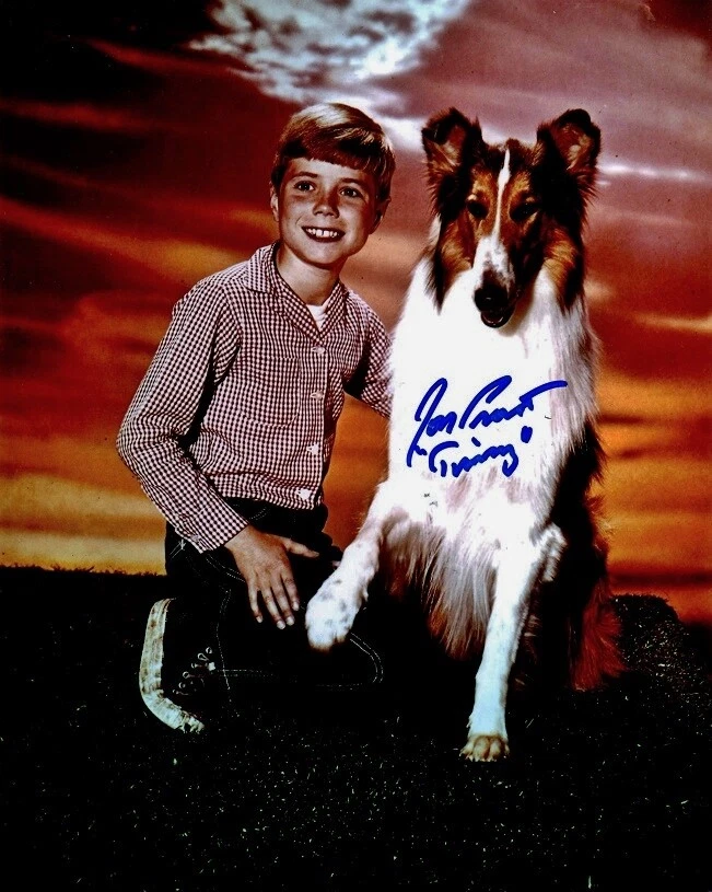 Lassie Timmy Martin