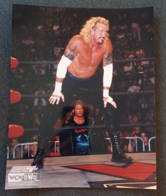💥1️⃣9️⃣9️⃣8️⃣ Official WCW Diamond Dallas Page 8x10 Promo Photo NWO ...