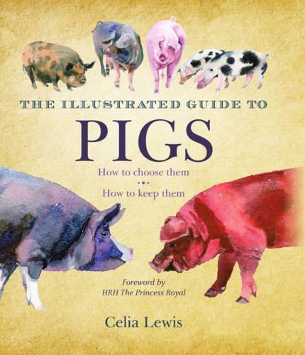 Celia Lewis The Illustrated Guide to Pigs (Relié) 9781616084363 | eBay