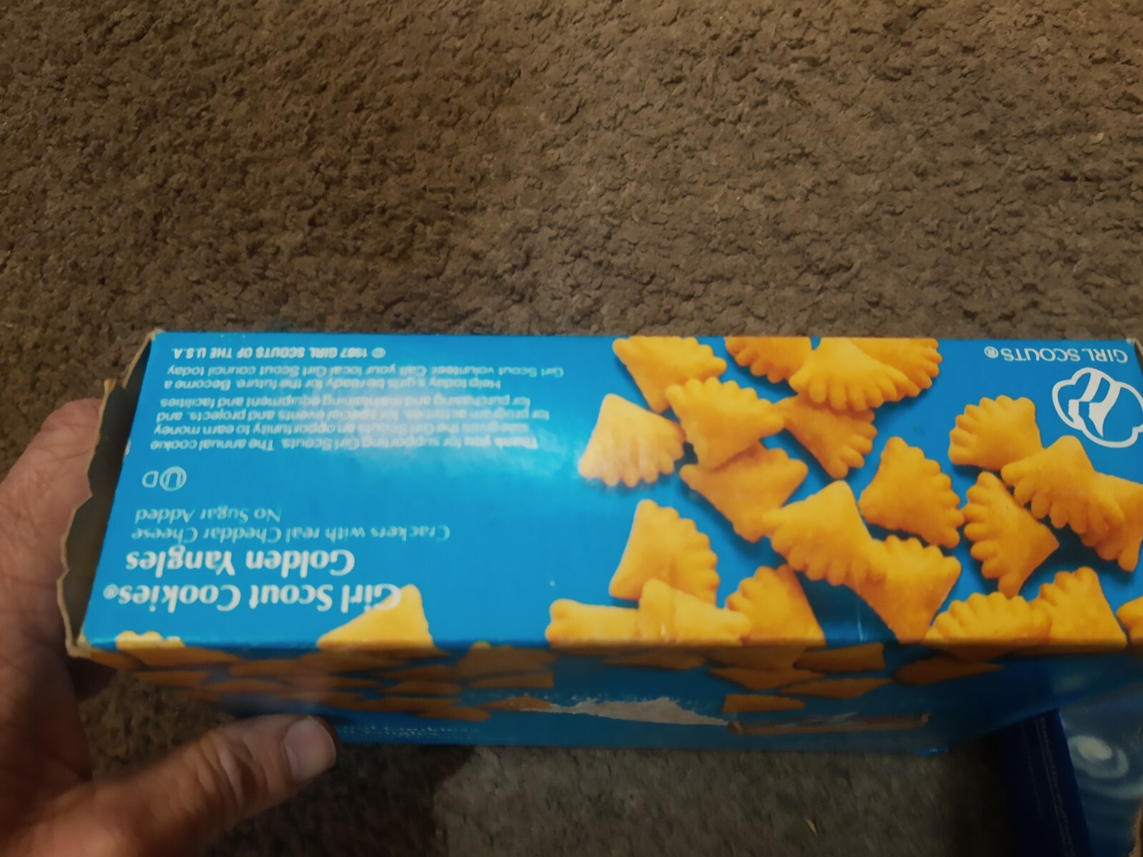 1980s Vintage Girl Scout Cookie Box ( 1/2 FULL!) Golden Yangles ...