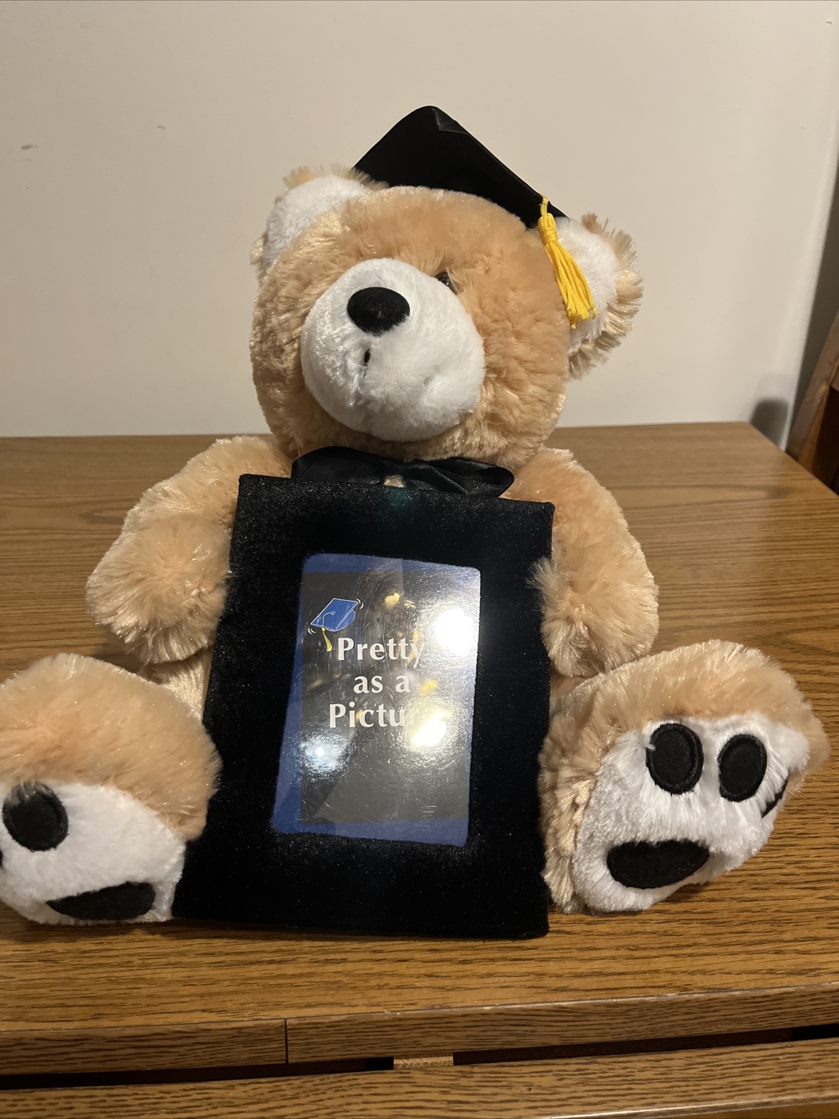 Dan Dee Graduation Plush Bear with Picture Frame Collector's Choice | eBay