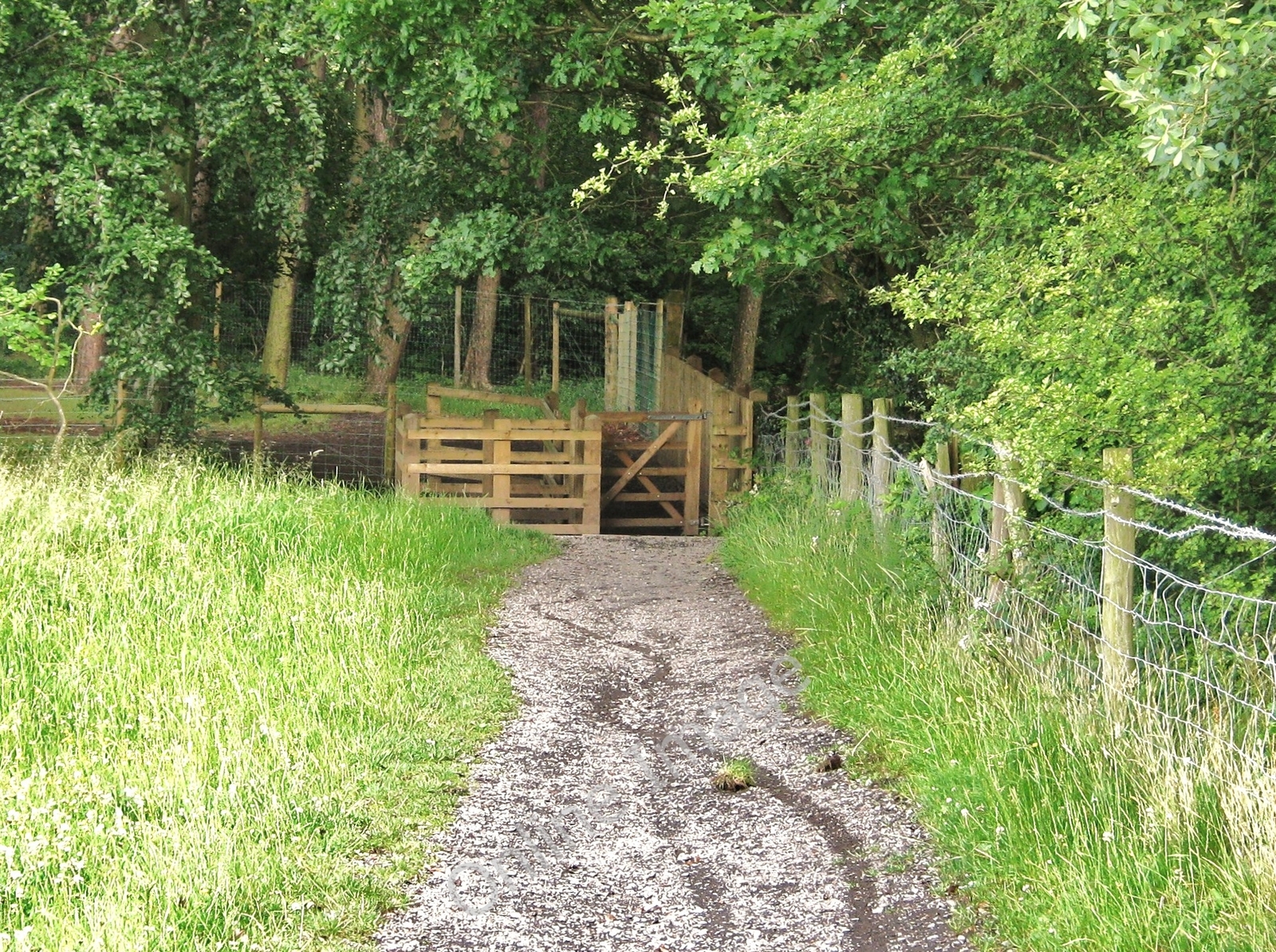 Photo 6x4 A gate into the wood beside the lake in Cuerden Valley Bamber ...