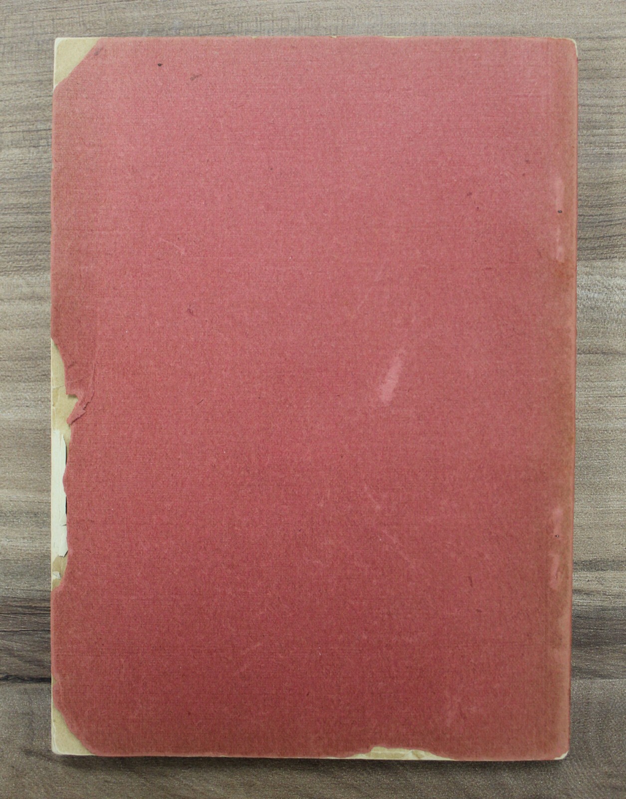 PIERCE, Frank Cushman-A Brief Hist. of the Lower Rio Grande Valley ...