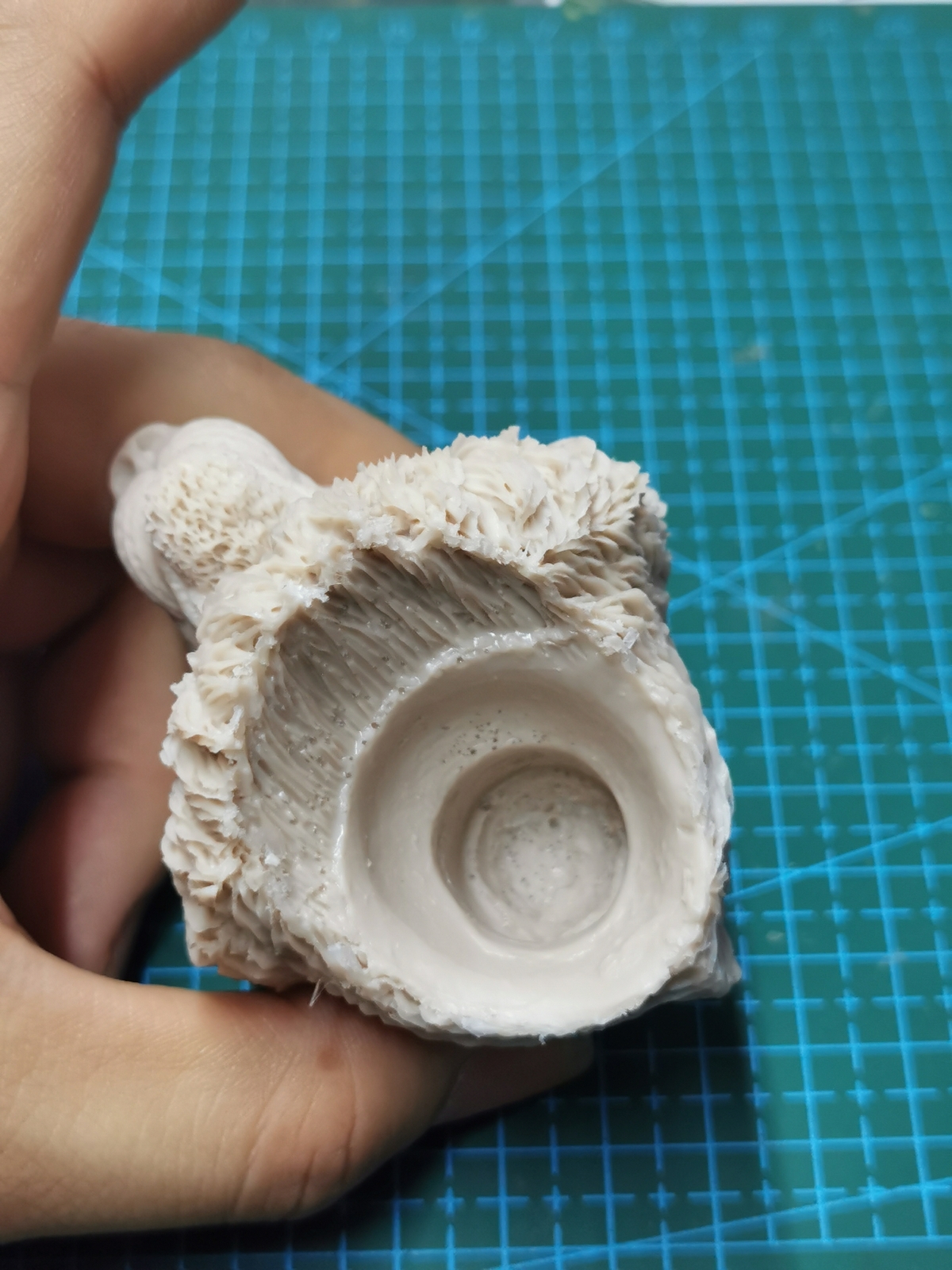 Unpainted 1/6 Animal Lion Head Sculpt Fit 12 inch Action Figure Muscle ...