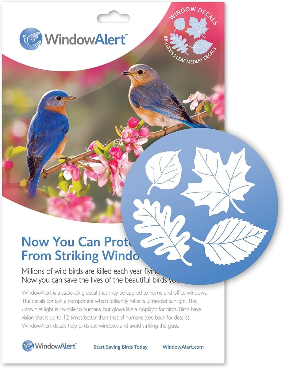 Birds Eye View Window Decalssaving Birds Window Decal Branches Birds