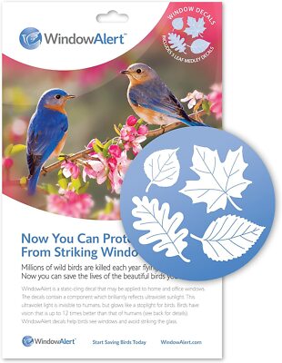 Bird Deflectors For Windows | eBay