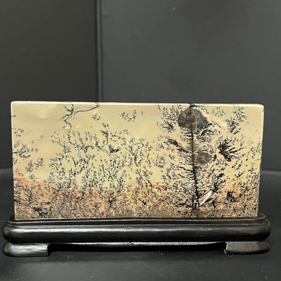148G Beautiful Natural Chinese Dendritic Limestone Picture Stone Guohua ...