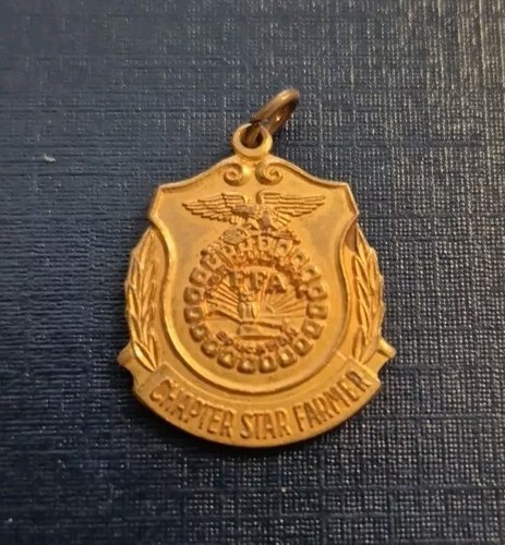 Vtg FFA Chapter Star Farmer Award Medal Charm Pendant Medallion Future ...