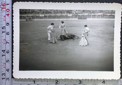 Bull Fighting Bullfighting Matador Spectator Sport Vintage BW Photo ...