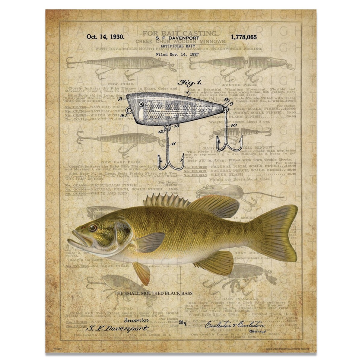 Vintage Bass Fish Bass Fish Art Collection