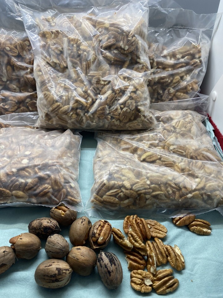 SHELLED PECANS 1 POUND OF QUALITY FRESH OKLAHOMA PECANS #24-100 | eBay