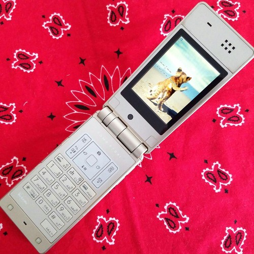 Fujitsu Docomo Mobile Phone F704I Vhtf VTG Japanese Flip Phone Garakei ...