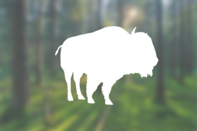 Bison Shape - Vinyl Decal Outdoor Weatherproof | eBay