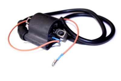 Universal 12v External CDI Ignition Coil w/ Lead | eBay