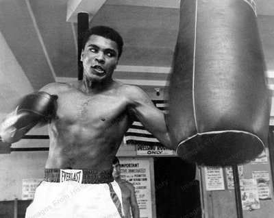 8x10 Print Historic Boxing Muhammad Ali South Florida Training #MA4 | eBay