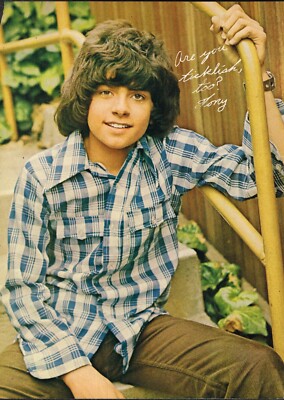 Tony DeFranco - 11" x 8" Teen Magazine Pinup Mini-Poster | eBay