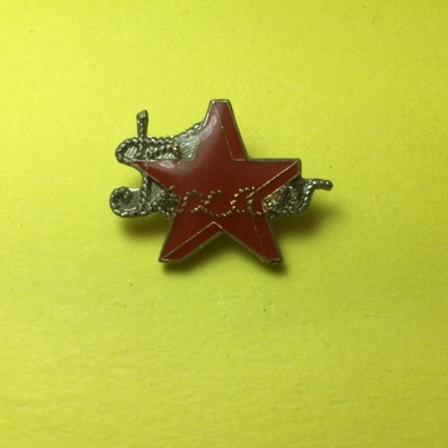 Texas Red Star Enamel Pin | eBay