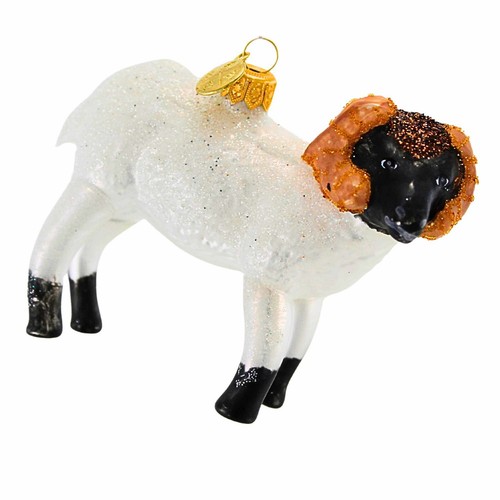 Morawski 3.75In Ram, Glass, Powerful Horns Male Sheep 19653 ...