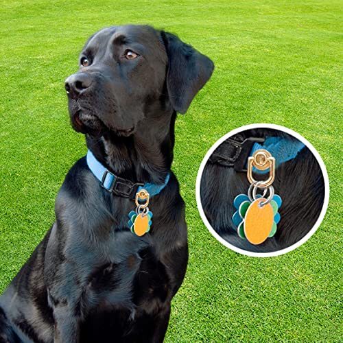 12 Pcs D Ring Stud Screw Ball Stud Rivets Post Head Buttons for Leather ...