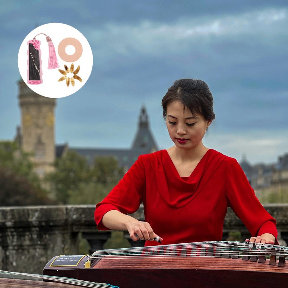 Chinese Finger Pick Holder String Instrument Picks with Case Guzheng ...