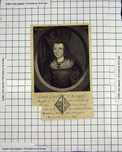 Original Old Antique Print Portrait Lady Jane Caesar Daughter Barkham ...