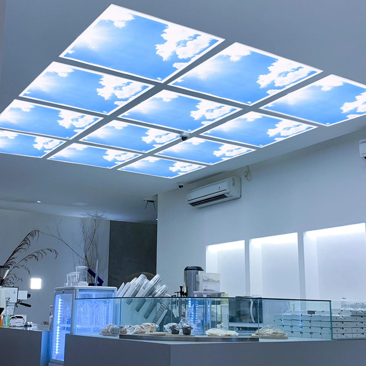 Suspended Ceiling With Led Lights | Shelly Lighting