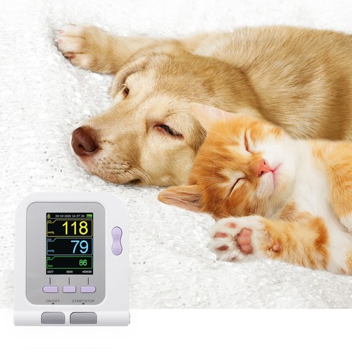 Vet Veterinary/Animal/Pet use Blood Pressure monitor Electronic ...
