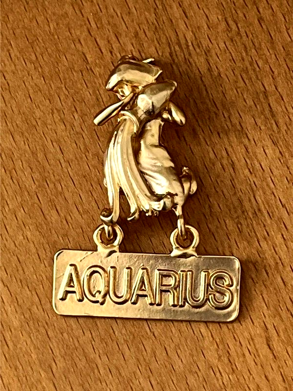 Broche Verseau Horoscope Etoile Chanon Paris Neuf emballé H=5,5cm | eBay