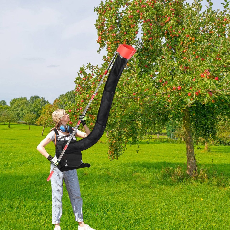 13.43FT High Reach Fruit Picker Pole Fruit Picking for Mango Avocado ...