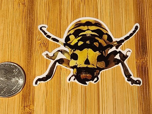 🪳Sticker Insect Sticker Bug Sticker Bugs Insects Creepy Nature Science ...