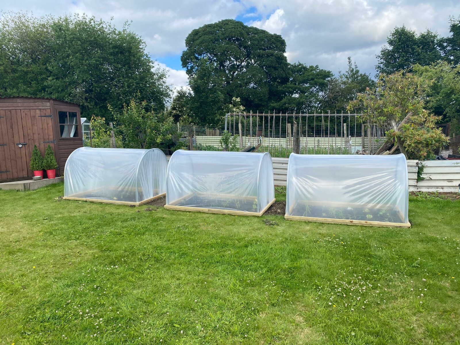 Cloche Polythene Cover Plastic Garden Cloche Grow Tunnel Plant ...