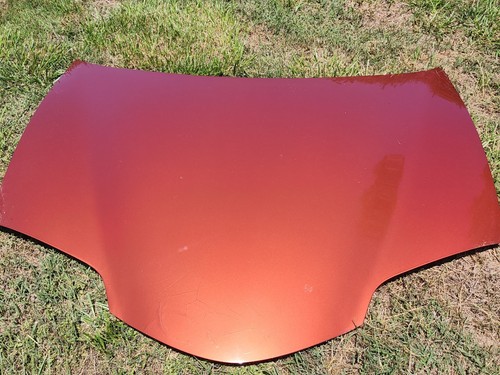 1998 - 2002 Firebird Formula Trans Am Hood Non Ram Air LS1 1999 2000 ...