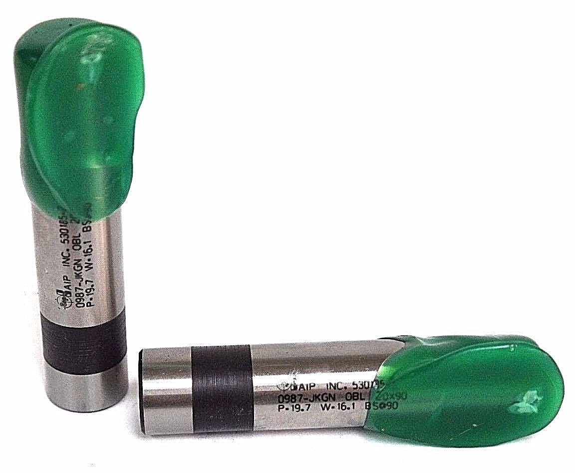 NEW AIP INC 530185-2 PUNCH 0987-JKGN OBL 20X90 P-19.7 W-16.1 BS@90 ...