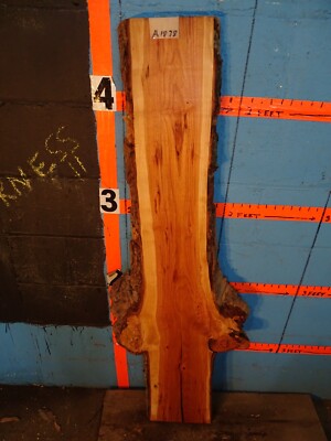A1878 1 7/8" THICK cherry burl live edge slab kiln dried planed | eBay