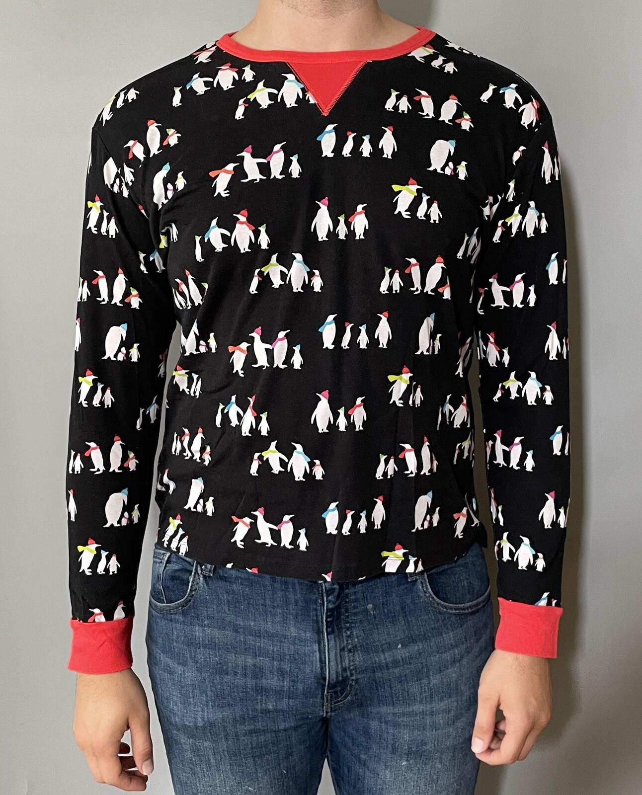 Wondershop at Target Mens Winter Penguins Crewneck Long Sleeve T-Shirt ...