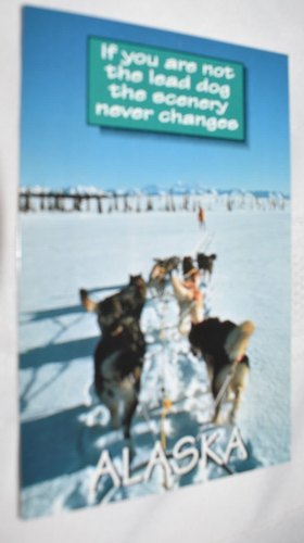 Sled Dog Team Alaska Humor Postcard Arctic Circle Enterprises Inc. ACE ...