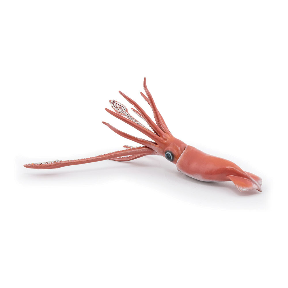 PAPO Marine Life Giant Squid Toy Figure | eBay