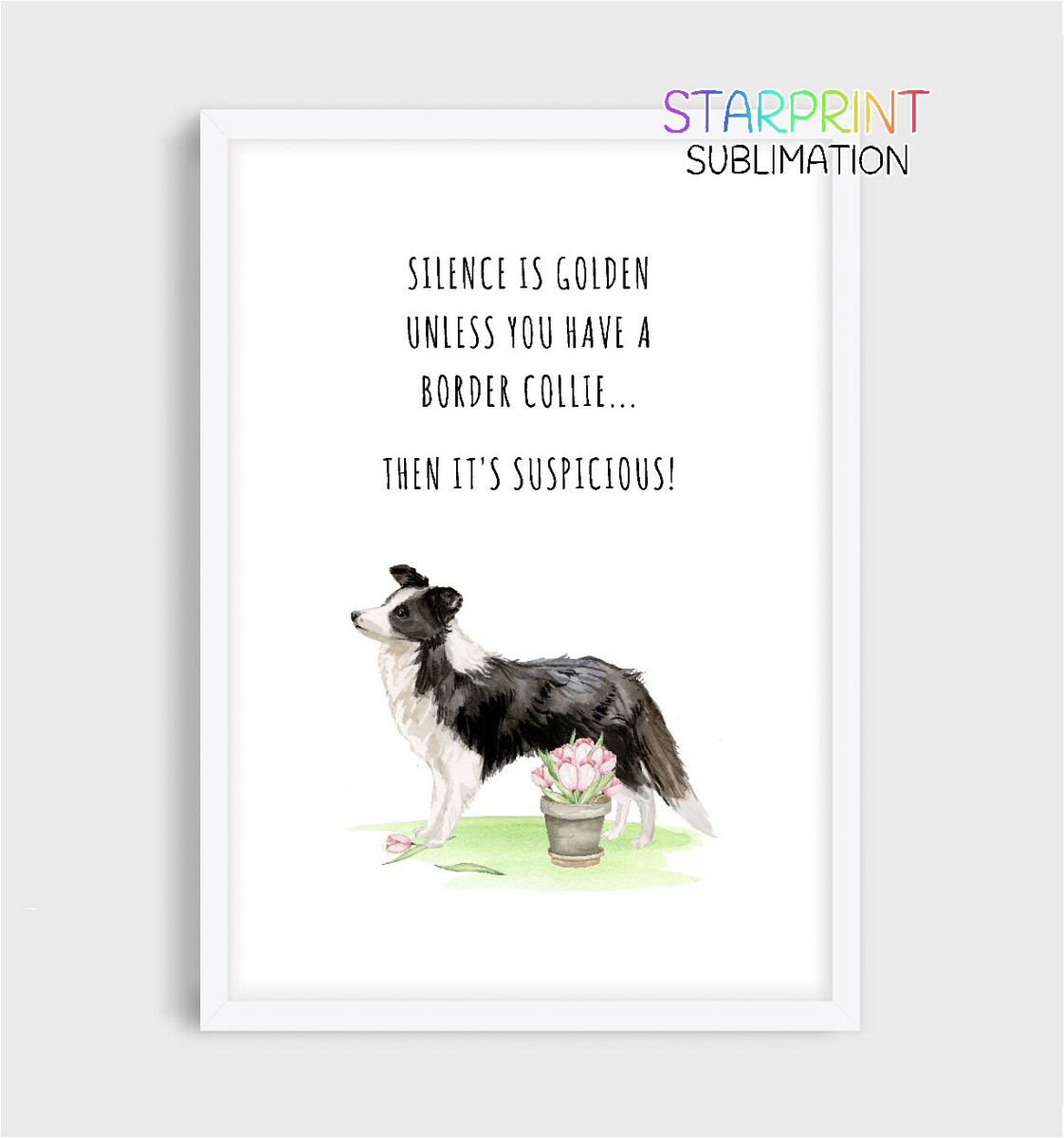 Border Collie Quotes