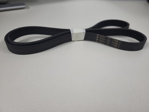 SportsArt C52R Recumbent Bike Drive Belt (16B) | eBay