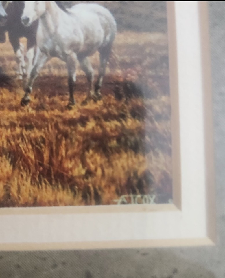 Tim Cox Horses Framed Triple Print: Life's A Dance, Cowhorse Boogie ...