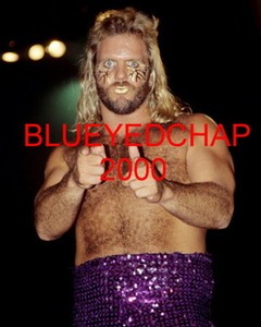 MICHAEL HAYES WRESTLER 8 X 10 WRESTLING PHOTO NWA | eBay