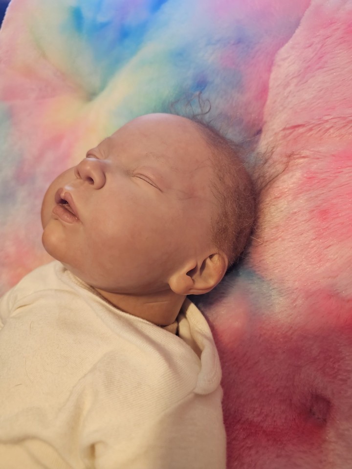 Reborn Baby Doll Jannie deLange Isabelle | Genesis Paints | Premium | eBay